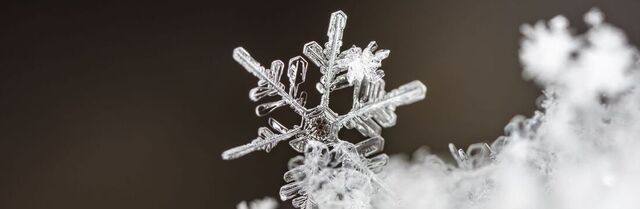 ICE PIGGING AUSTRALIA - About Us - ICE PIGGING AUSTRALIA